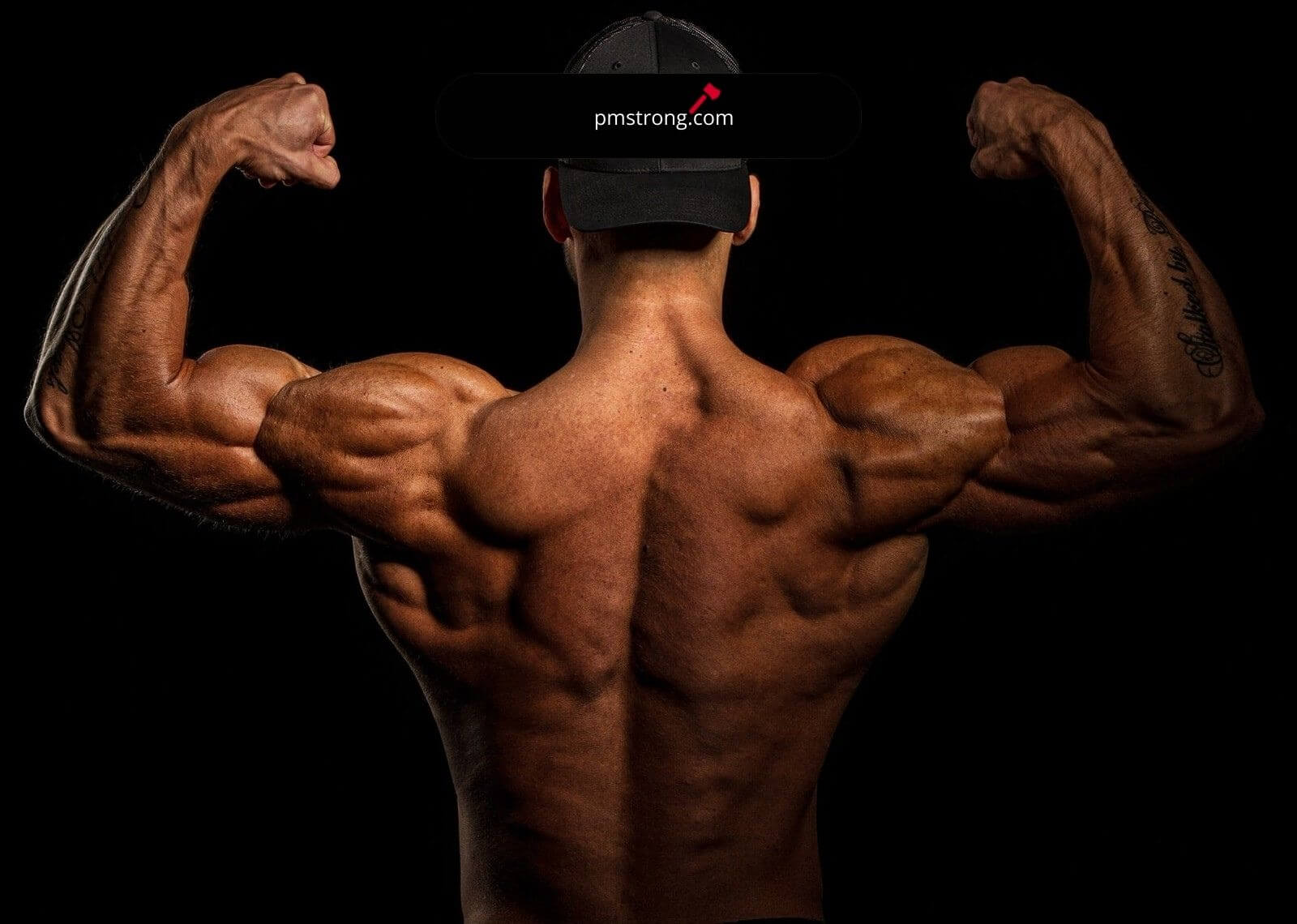 BodyFit Formula PDF – Physically & Mentally Strong